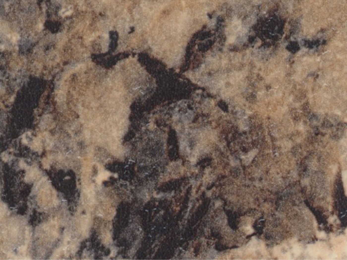 Decor Packages — Clayton Park Models